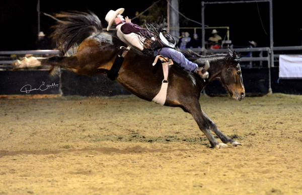 Emerald rocks the rodeo - Central Queensland Today