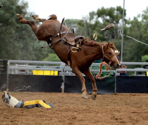 Emerald rocks the rodeo - Central Queensland Today