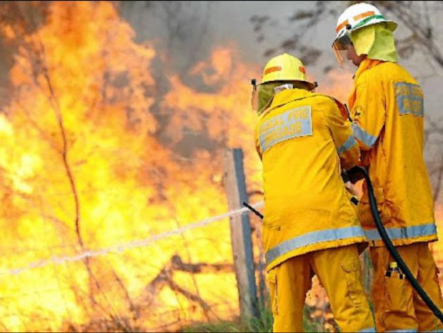 Put your hand up for RFS - Central Queensland Today