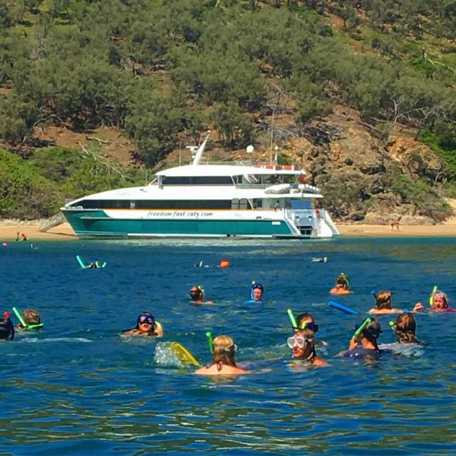 Freedom Fast Cats eco-certified - Central Queensland Today