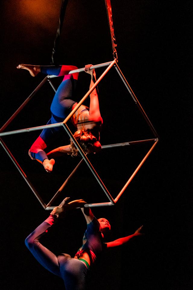 Flying Fruit Fly Circus returns to CQ - Central Queensland Today