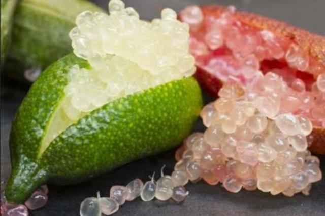 Salty lime on Coast farm - Central Queensland Today