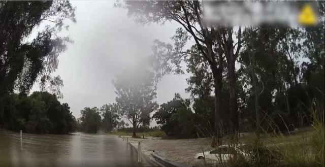 Saved at Bauple - Central Queensland Today