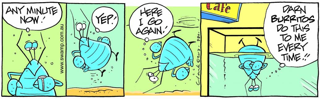 40 years in the Swamp - Central Queensland Today