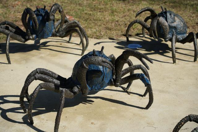 LSC street art recognised among Australia’s best - Central Queensland Today