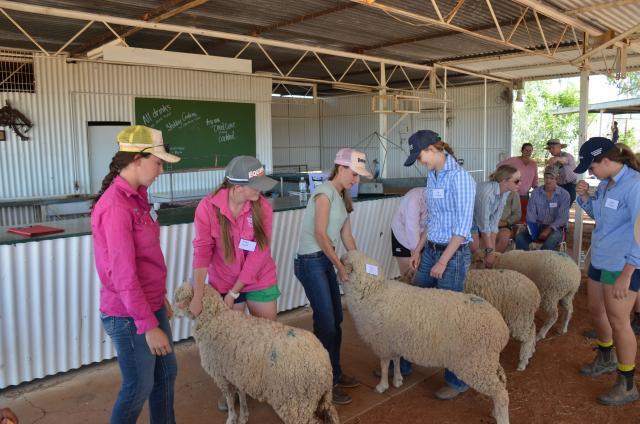 Training for young judges - Central Queensland Today