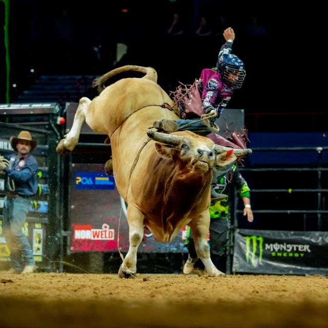 Local boys in team QLD takes out 2023 PBR Origin - Central Queensland Today