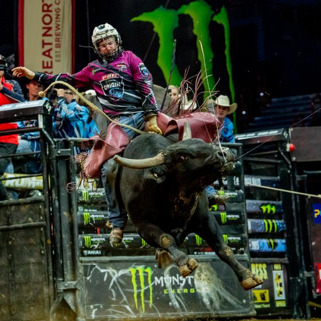 Local boys in team QLD takes out 2023 PBR Origin - Central Queensland Today