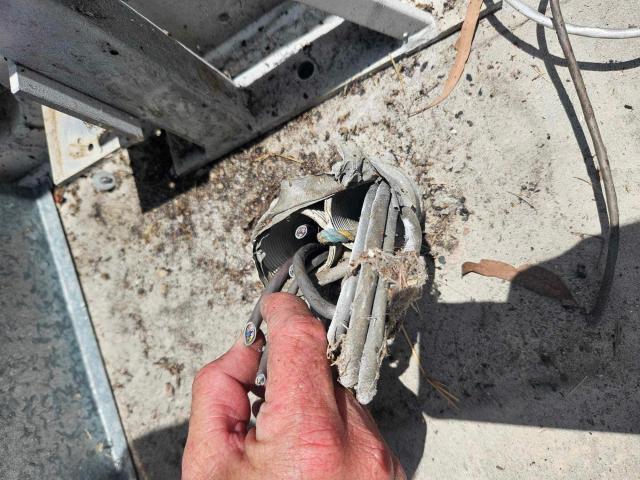 Outouring of support after... Track ‘sabotage’ - Central Queensland Today