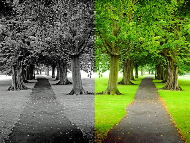 Starting from scratch versus buying an existing business - Central ...