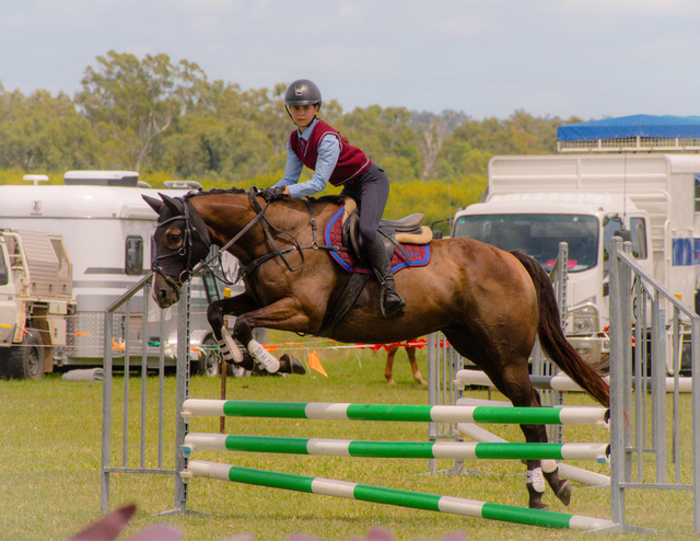 Crompton Park trotting along - Central Queensland Today